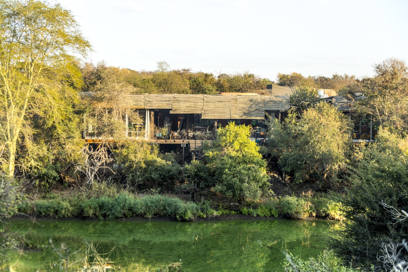 Singita Winner of the Conservation and Sustainability Award at PURE ...